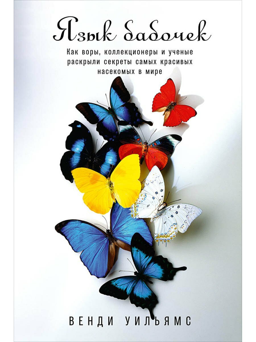 Язык бабочек: Как воры, коллекционеры и ученые раскрыли секреты самых красивых насекомых в мире