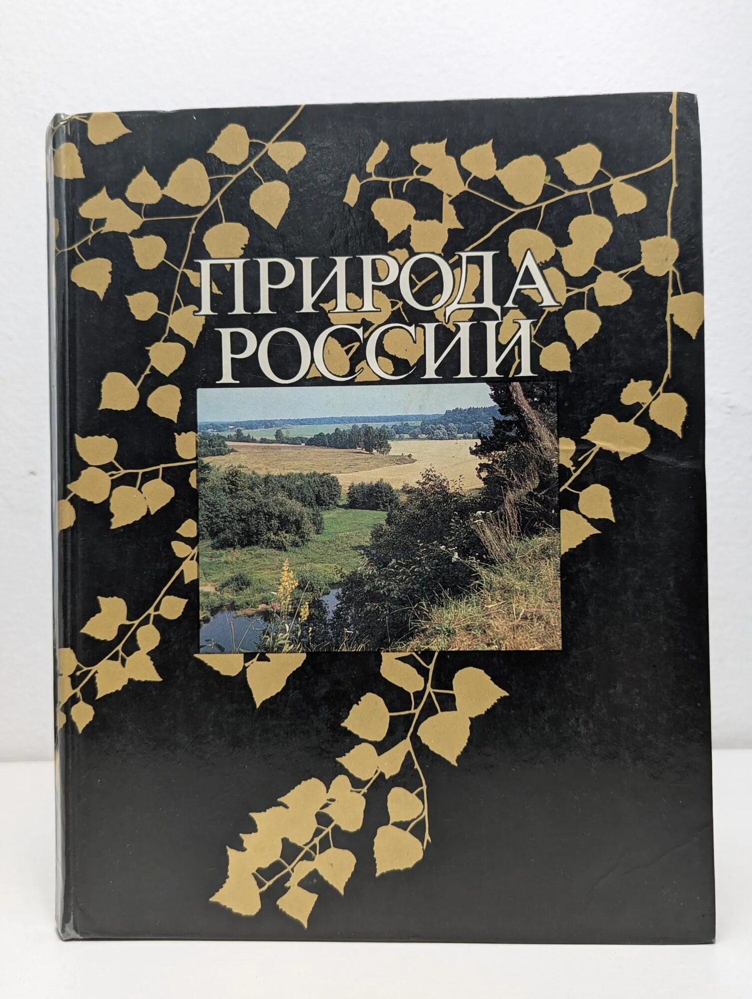 Природа России Иноземцев А. А. (сост.) 1987