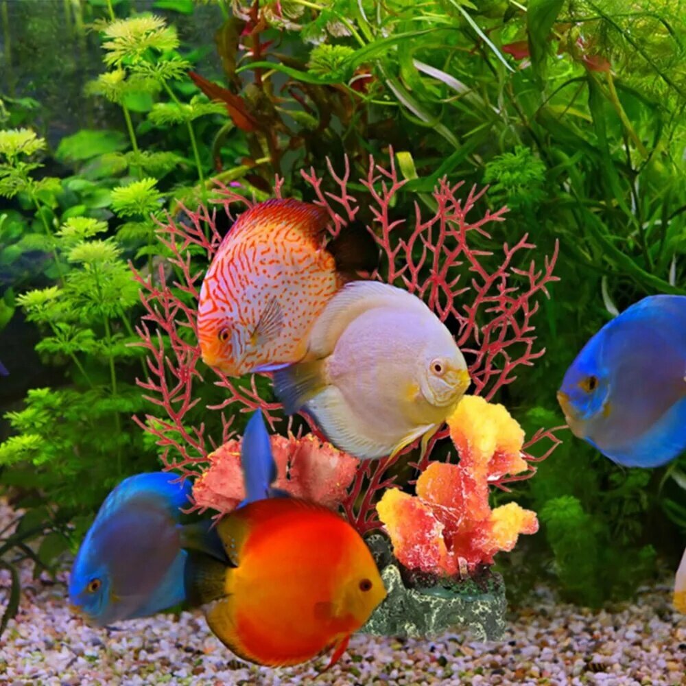 Искусственный Риф, 1 Штука Декорация Для Аквариума, Для Наполнения Рыбных Баков