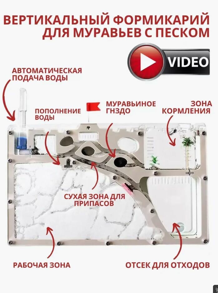Муравьиная ферма — фото 1