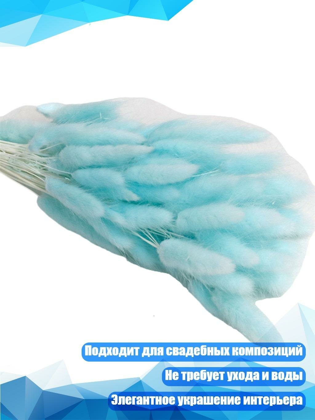 55pcs Natural Dry Pampasgrass 17,7 -дюймовый сушеные кролики цветок хвоста для домашних свадебных композиций, - сплошной цвет 11