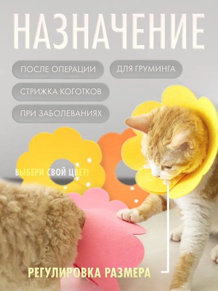 Съёмный воротник , Желтый — фото 1