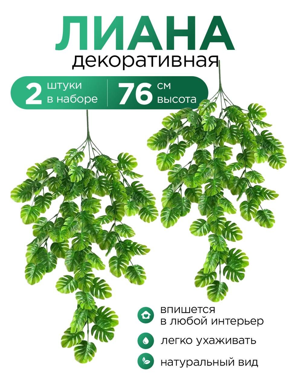 Папоротник настенный свисающий растение на стену лиана плющ для декора интерьера цветок декоративная зелень