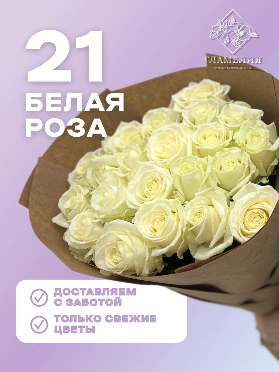 Гламелия цветы «Белое облако»: 21 роза Avalanche в крафте – купить свежие цветы с доставкой в Москве
