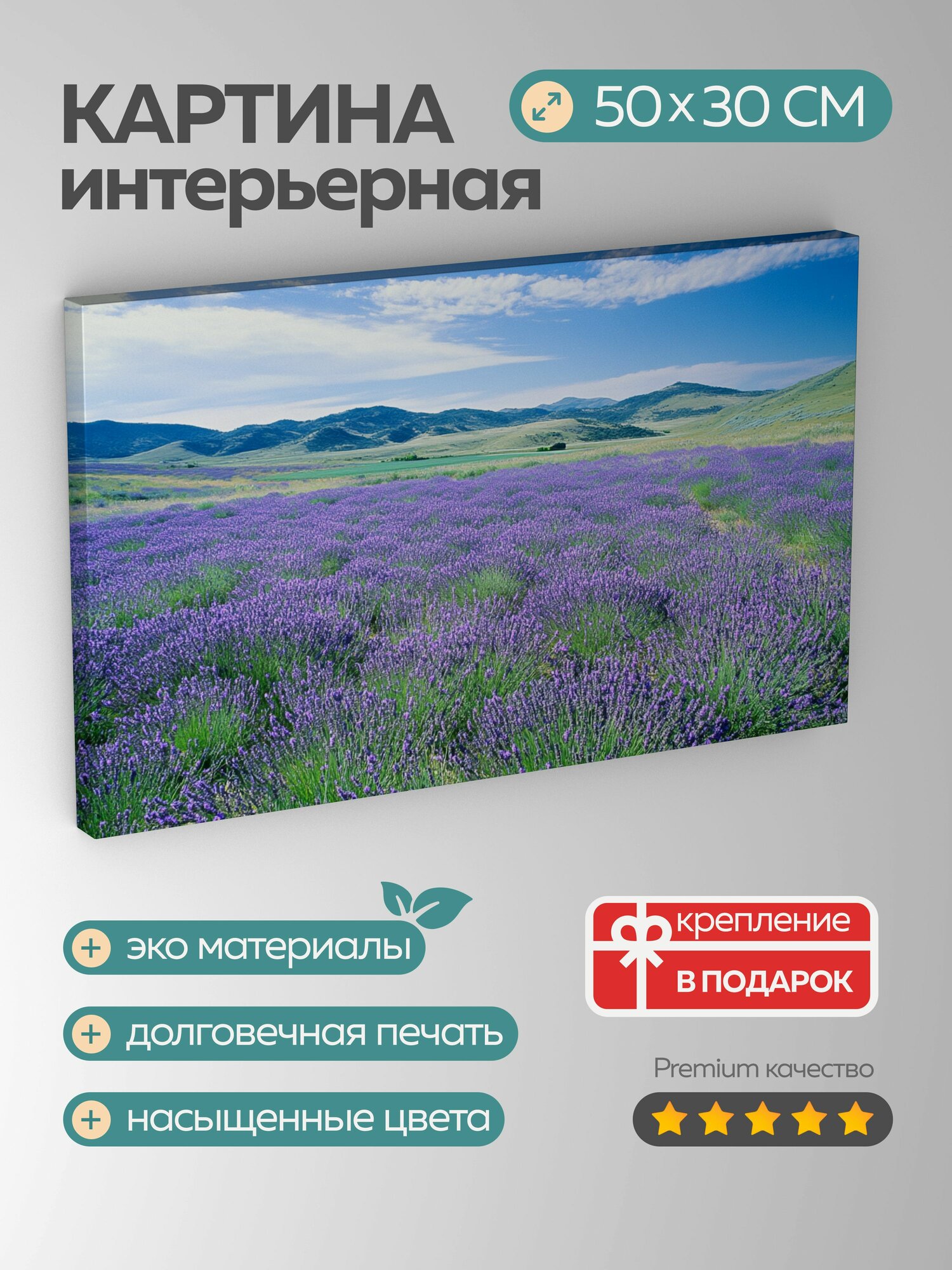 Картина на холсте интерьерная 50х30 см, лаванда, поле, фиолетовый цвет, холмы, небо, природа, красота, фотография