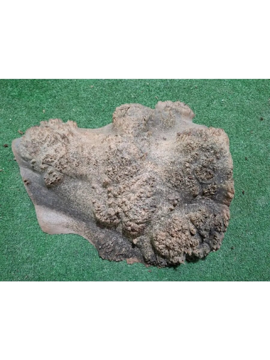 Слэб массив Тополь (430-400-120 мм)