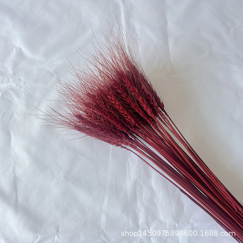 Пучок пшеничных колосьев, 50 палочек, темно-красный