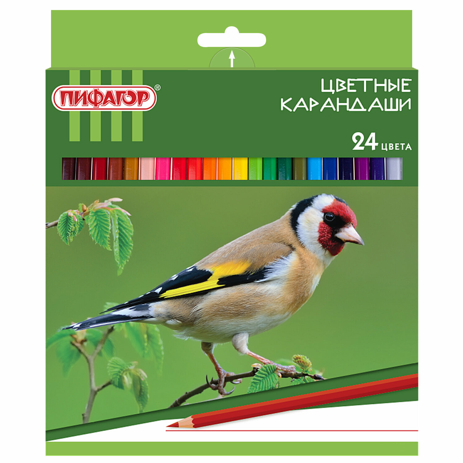 Карандаши цветные пифагор "лесные жители", 24 цвета, шестигранные, 181336 (цена только за 1 шт.)