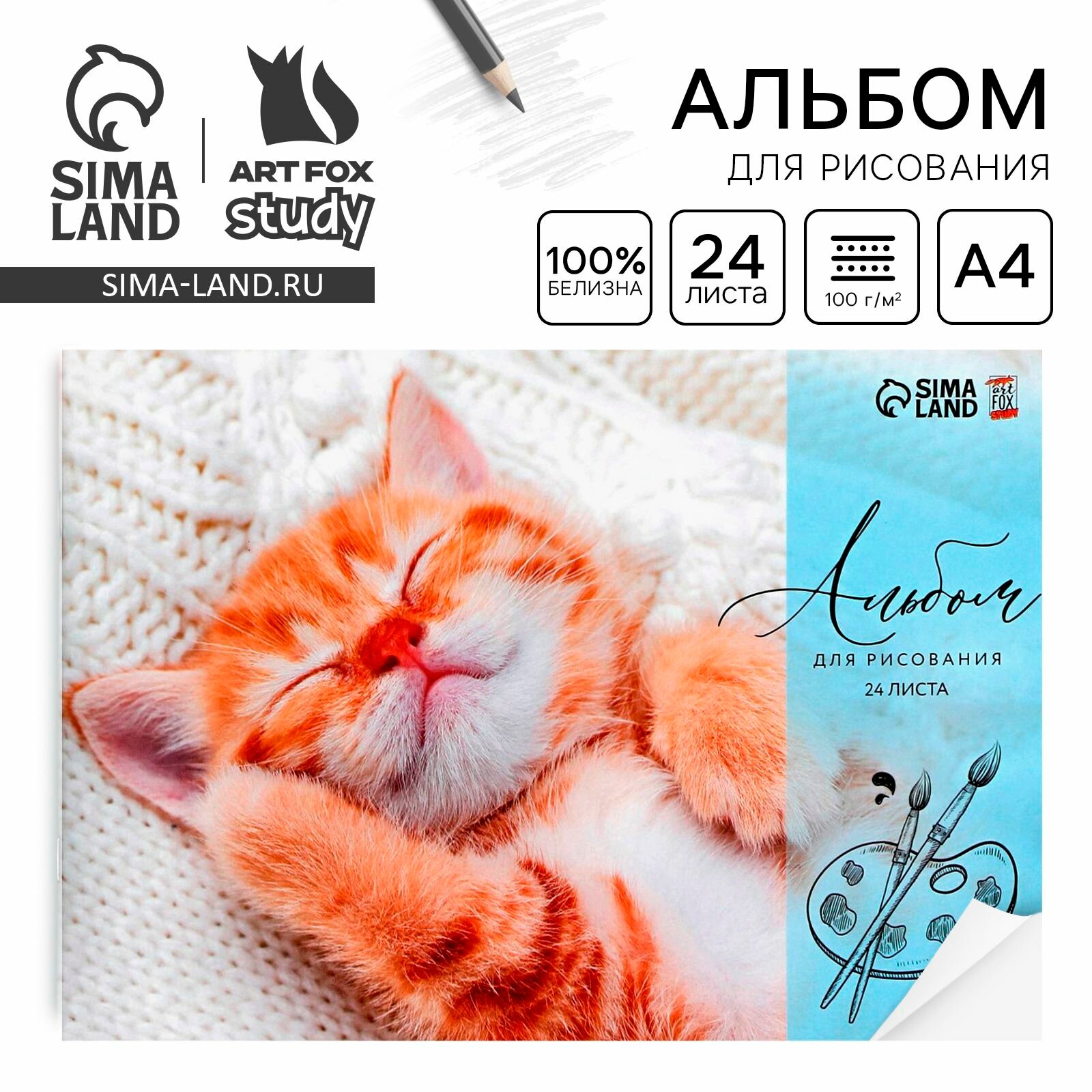 Альбом для рисования 2 шт. в наборе, А4 24 листа на скрепке Котик обложка 160 г/м2, бумага 100 г/м2.