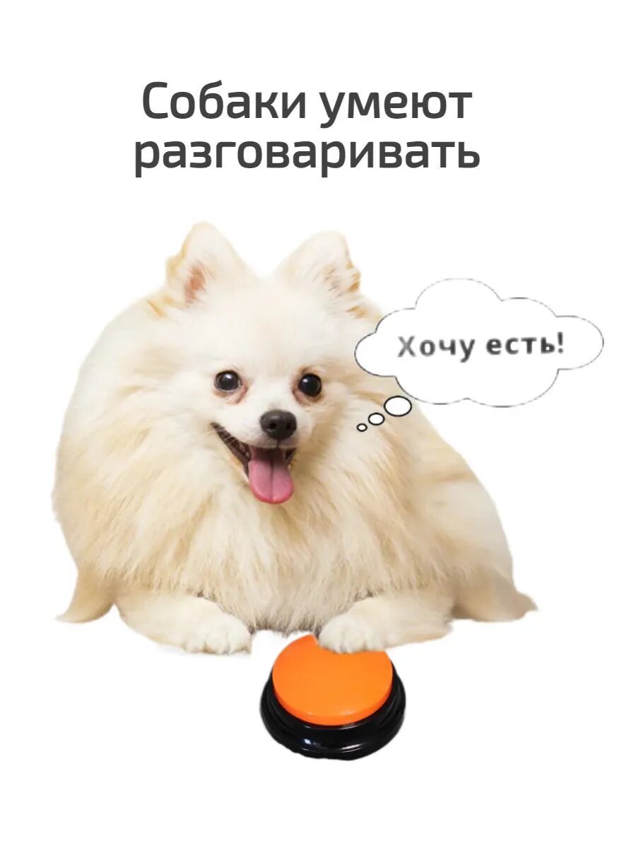 Игрушка для животных