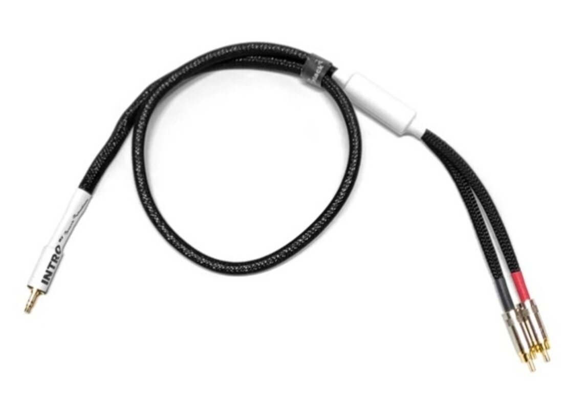 Кабель межблочный аудио Black Rhodium INTRO 3.5mm. jack-2 RCA Black 1,0 m