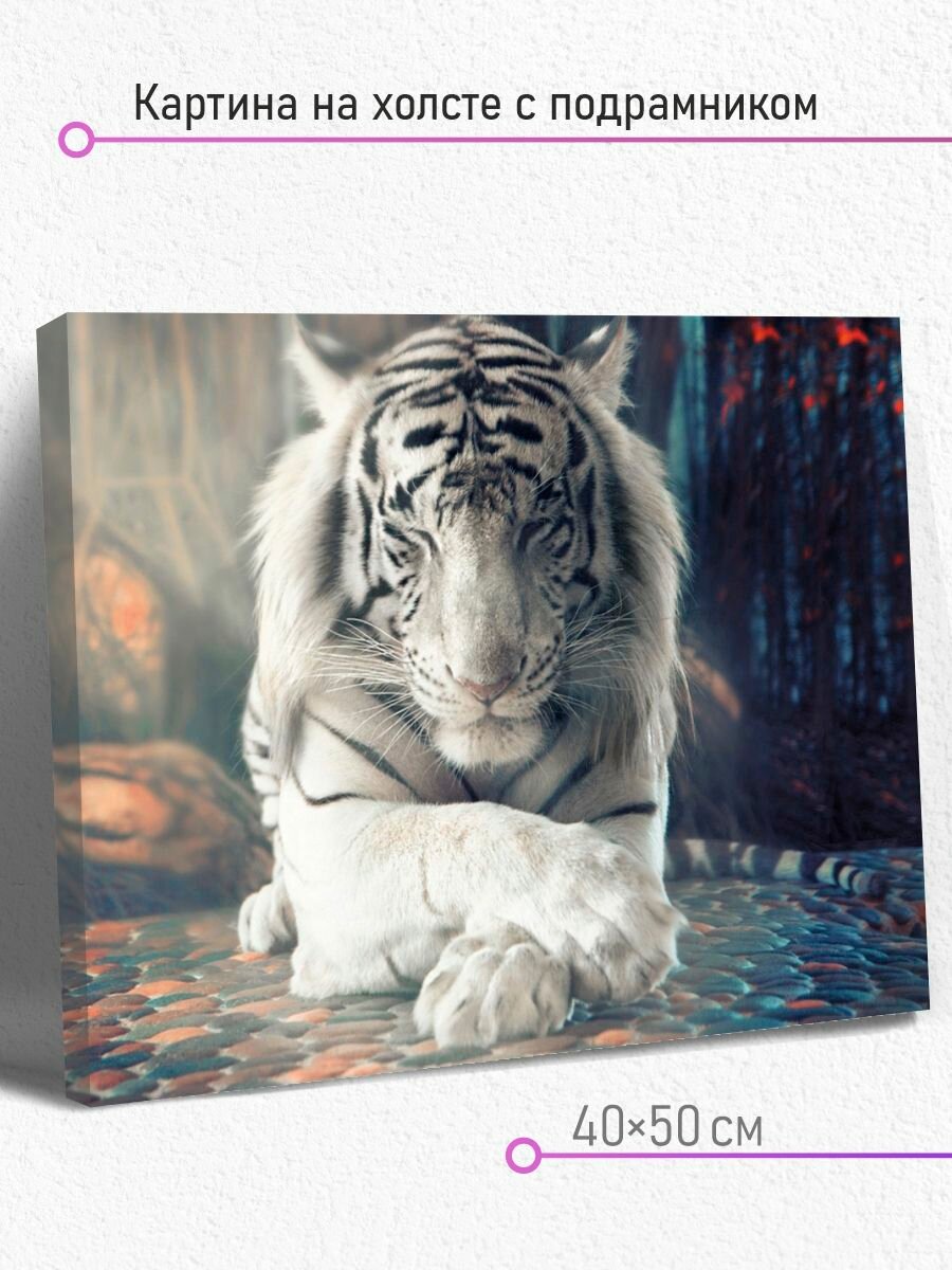 Картина на холсте на подрамнике 40х50 см. Природа, животные, рыбы, птицы. Тигры. "Белый тигр", арт. 6235/