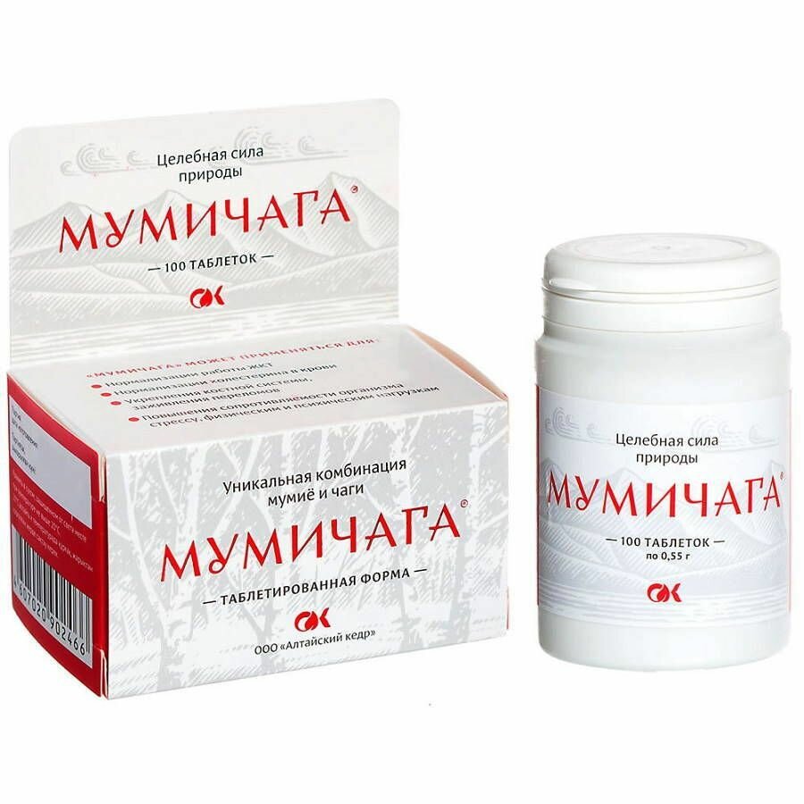 МумиЧага (холестерин, ЖКТ) №100 таб.