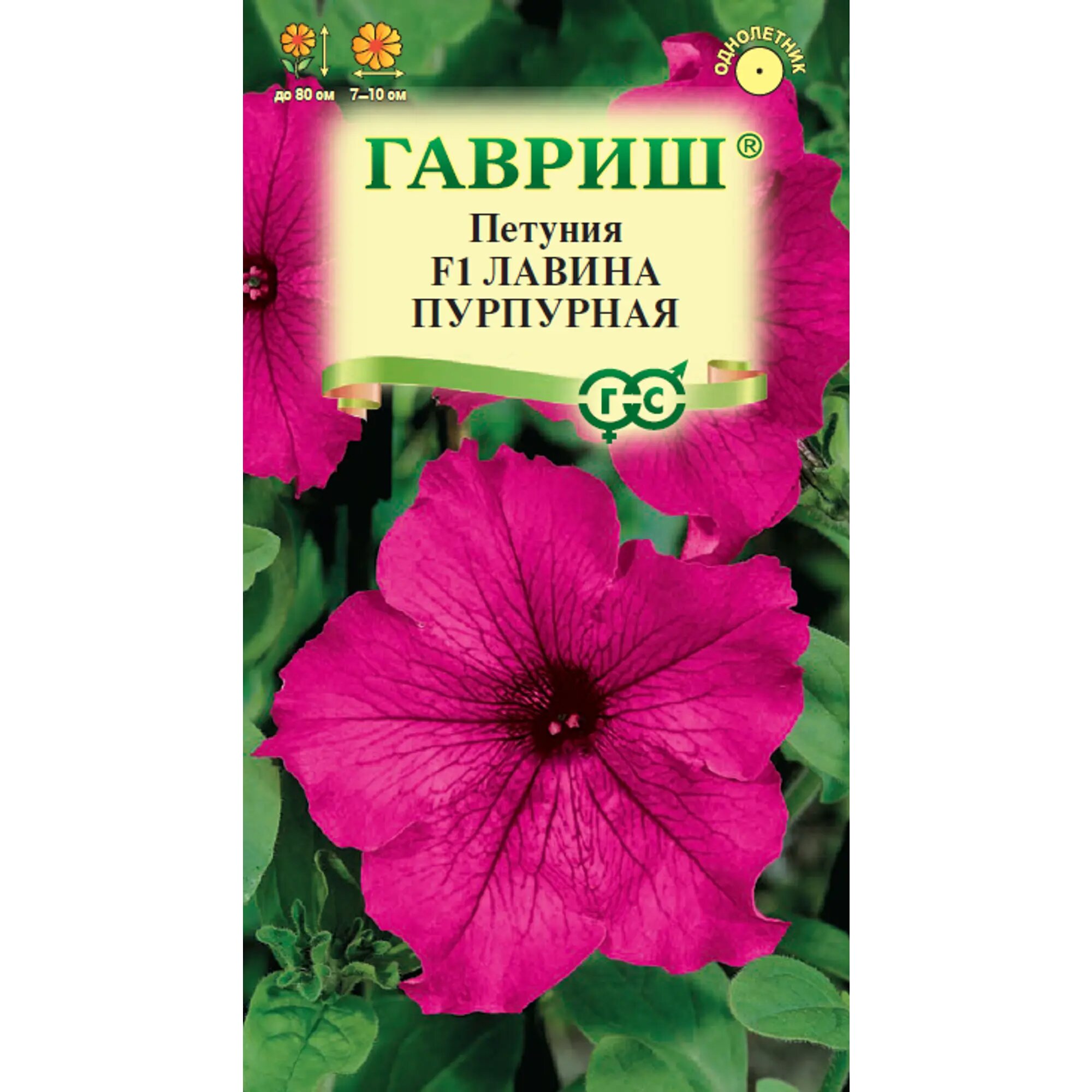 Гавриш петуния Лавина пурпурная семена 7 шт для выращивания в саду и на балконе