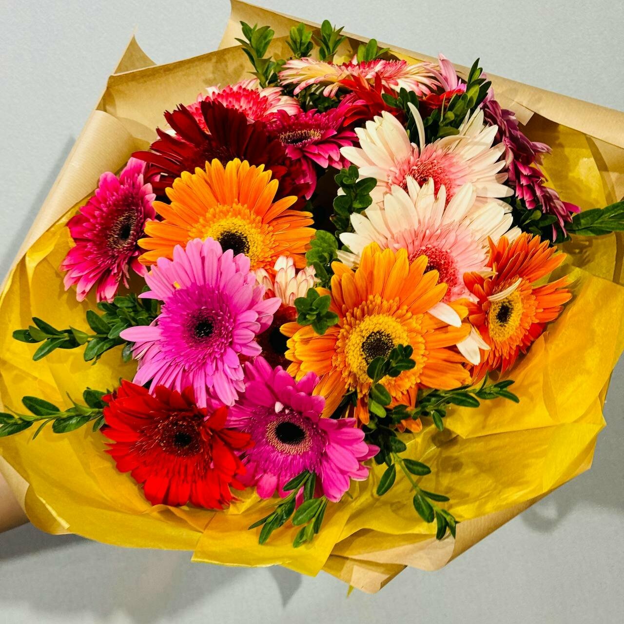 Пышный букет из 17 разноцветных гербер. Цветы герберы с веточками самшит