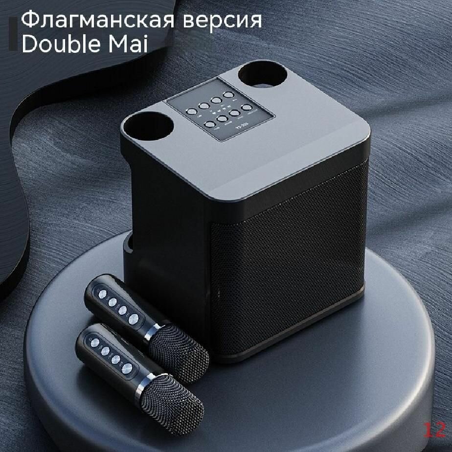 YS203 karaoke audio, караоке-аудио, беспроводной Bluetooth, два микрофона, микрофон-динамик - все в одном устройстве