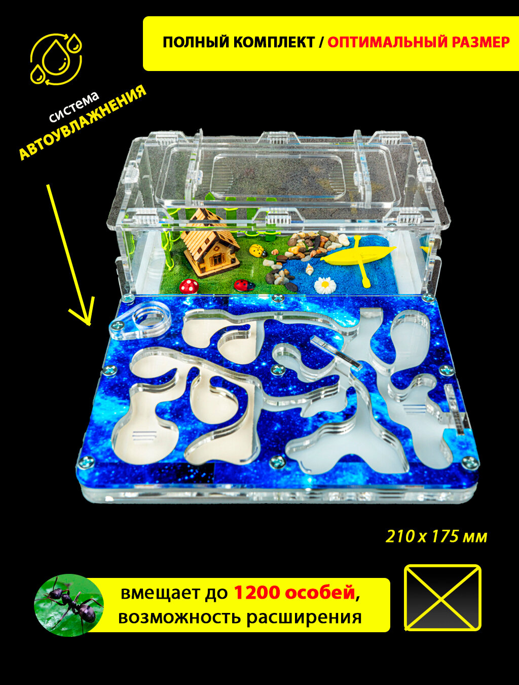 Муравьиная ферма (формикарий) стандарт AntFarmsNsk