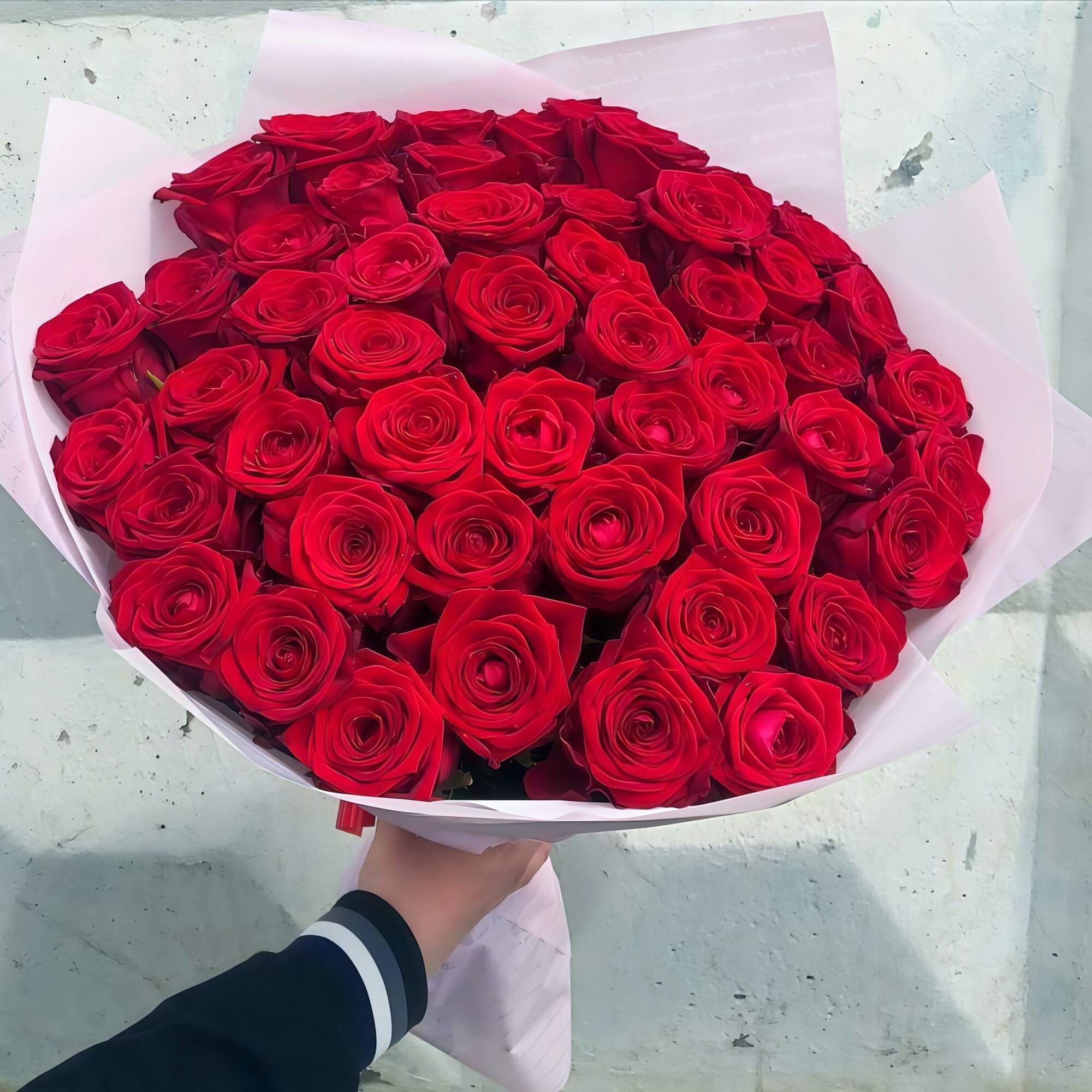 Букет из красных роз 51 шт, красивый букет цветов, шикарный, премиум цветы, премиум букет