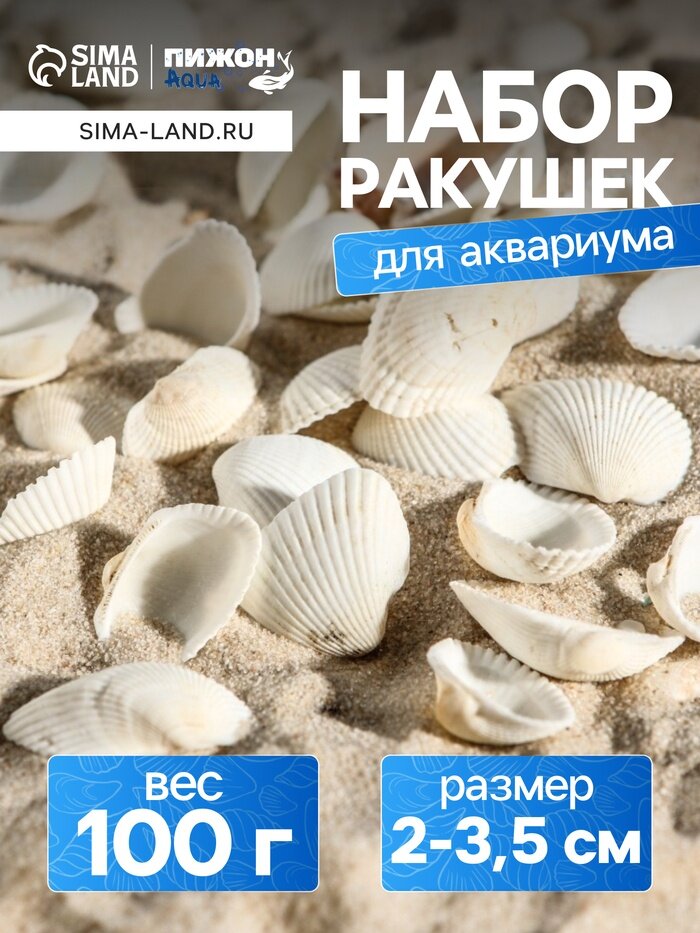 Набор ракушек, 2 - 3.5 см, 100 г