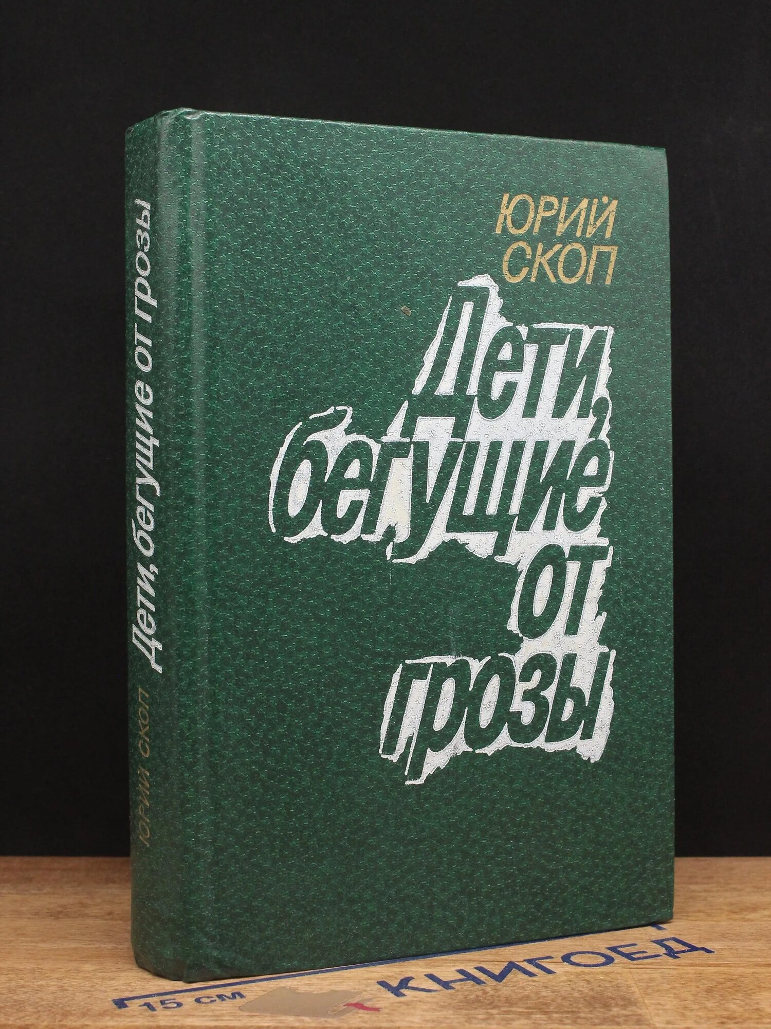 Книга. Дети, бегущие от грозы 1981 (2046710384984)