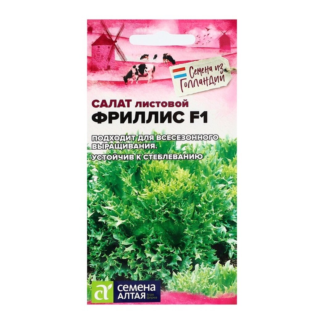 Семена салата "Фриллис" Seminis F1, гибридный, среднеспелый, 25см, 0.01г