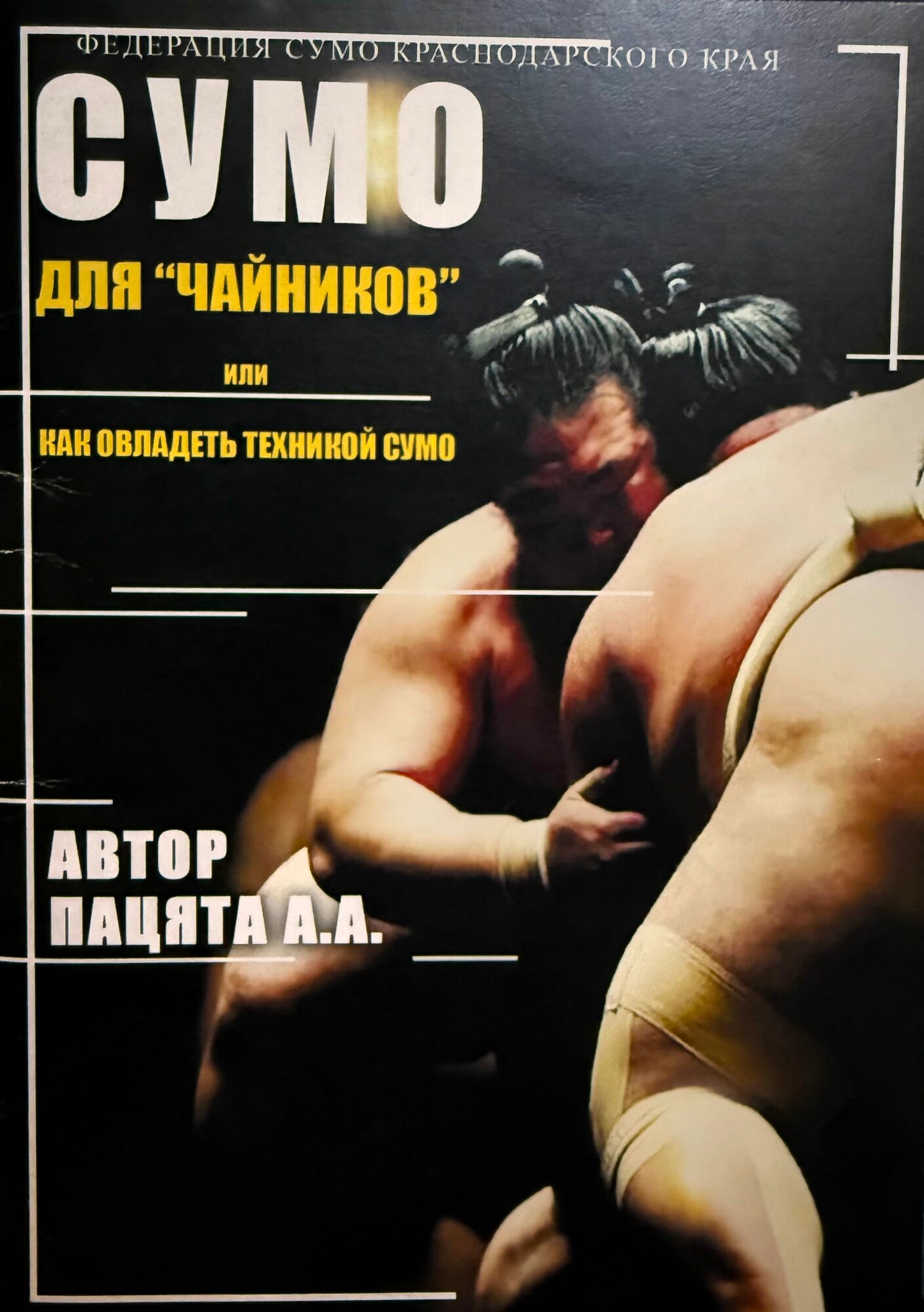 Сумо для чайников или как овладеть техникой сумо (мягк.)
