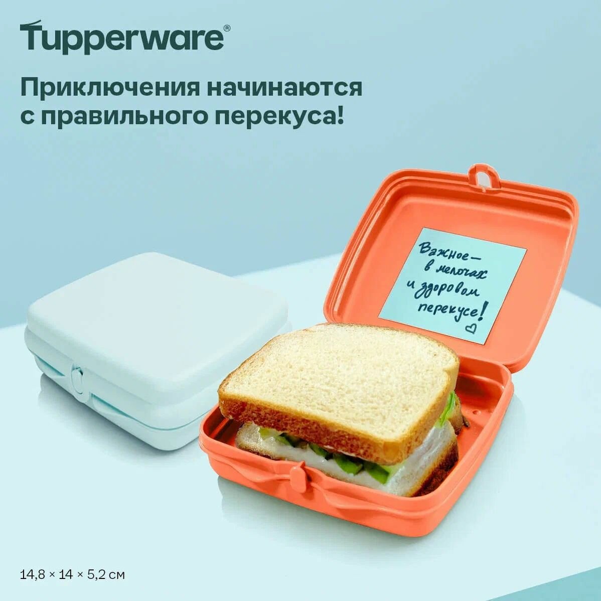 Набор Ланч-боксов "Эко + " 500 мл, голубой и оранжевый. Tupperware
