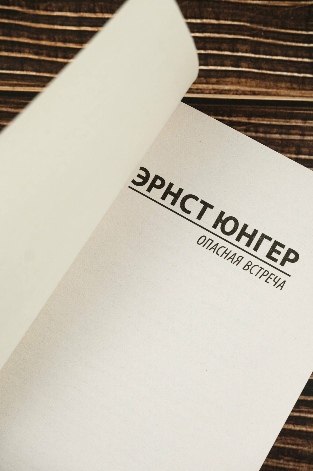 Опасная встреча — фото 1