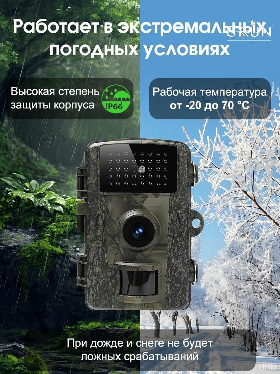Фотоловушка — фото 1