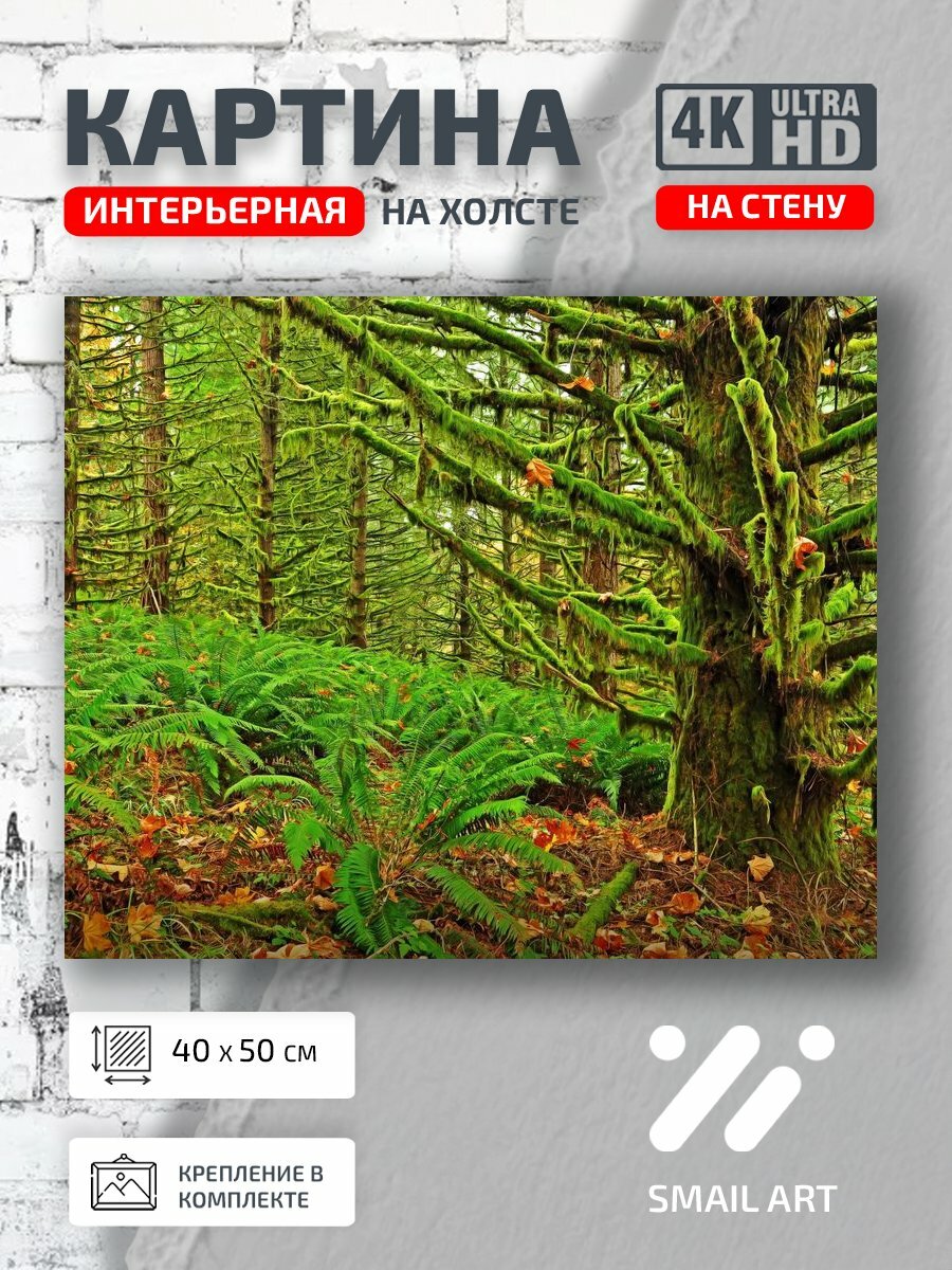 Картина на холсте интерьерная 40 на 50 на стену Мох Landscape для кабинета пейзаж интерьер