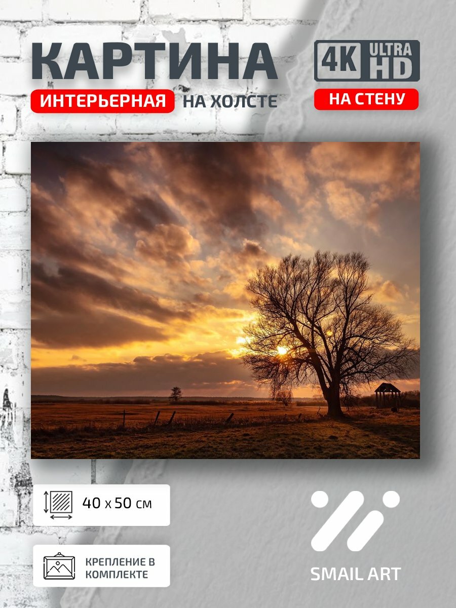 Картина на холсте интерьерная 40 на 50 на стену Степь Landscape для спальни пейзаж интерьер