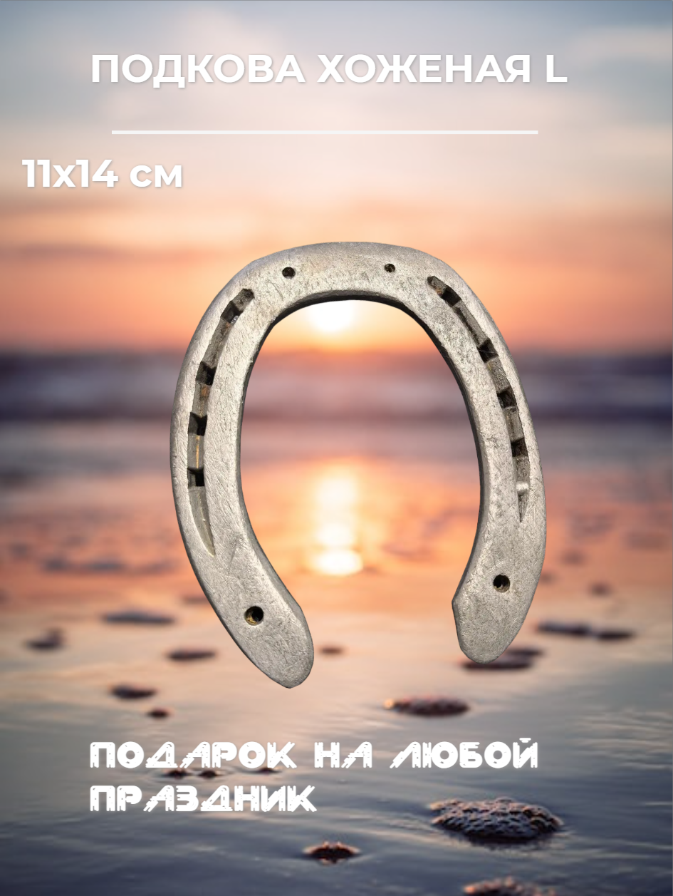Подкова на дверь хоженая, настоящая. Средняя Символ года