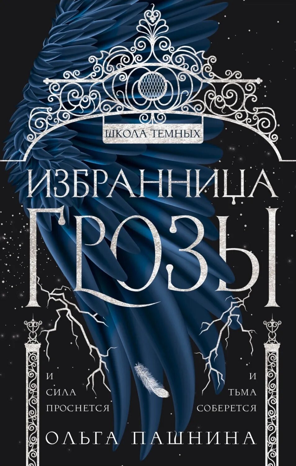 Школа темных. Избранница грозы [Цифровая книга]