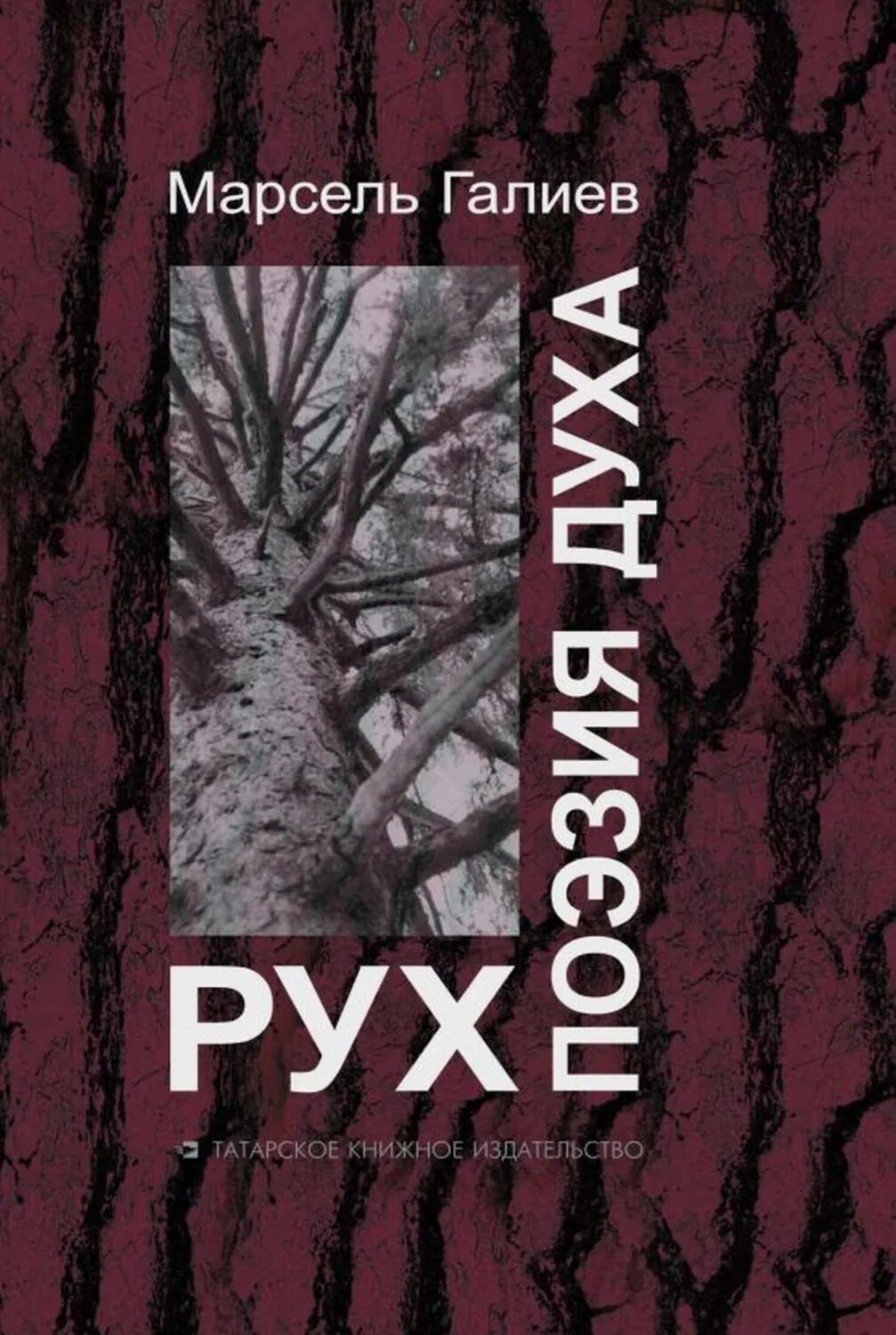 Поэзия духа / Рух [Цифровая книга]