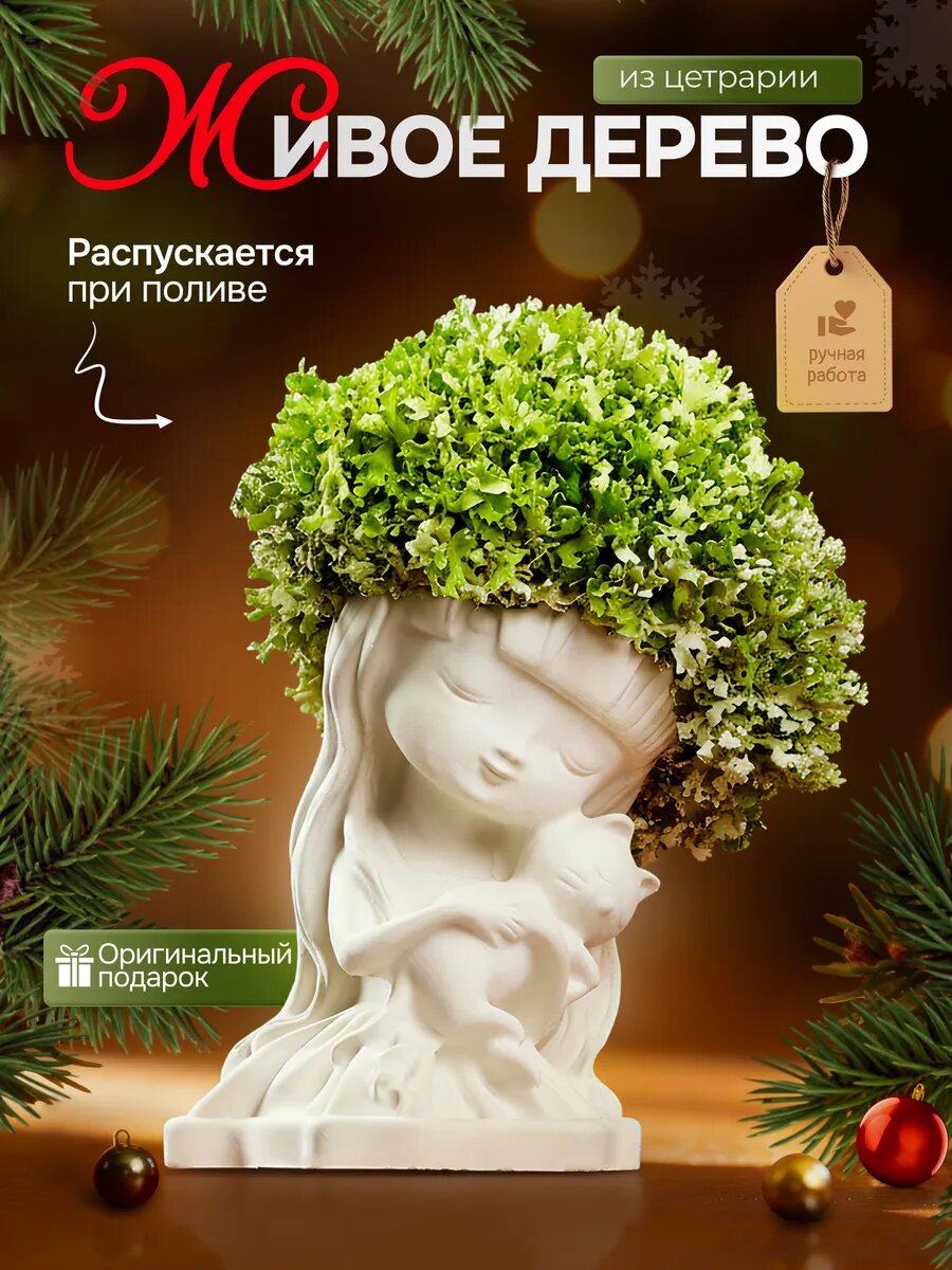 Декоративное дерево из мха цетрарии "Девочка с котиком" в кашпо. Breath of Nature