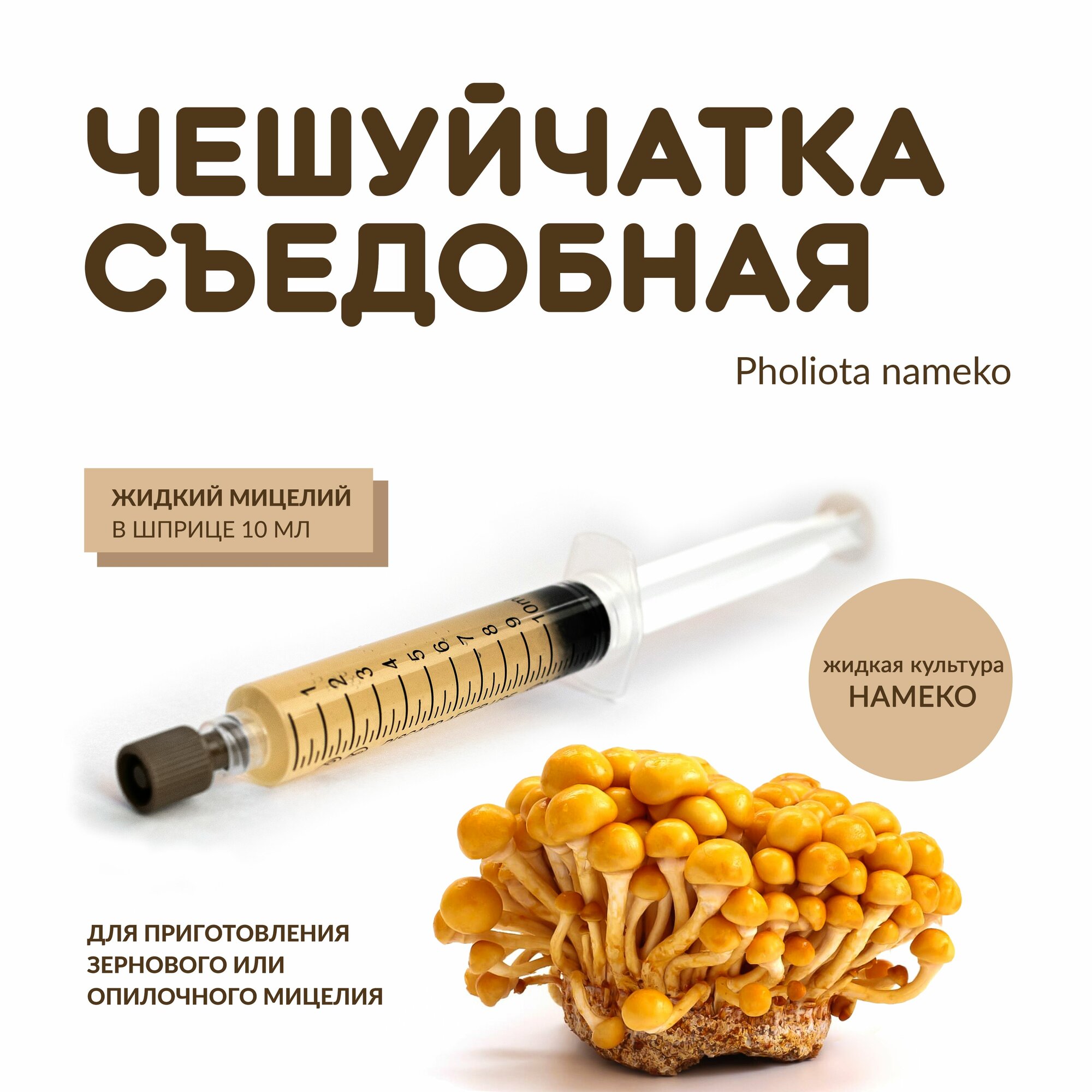 Жидкий мицелий Чешуйчатки съедобной (Намеко)