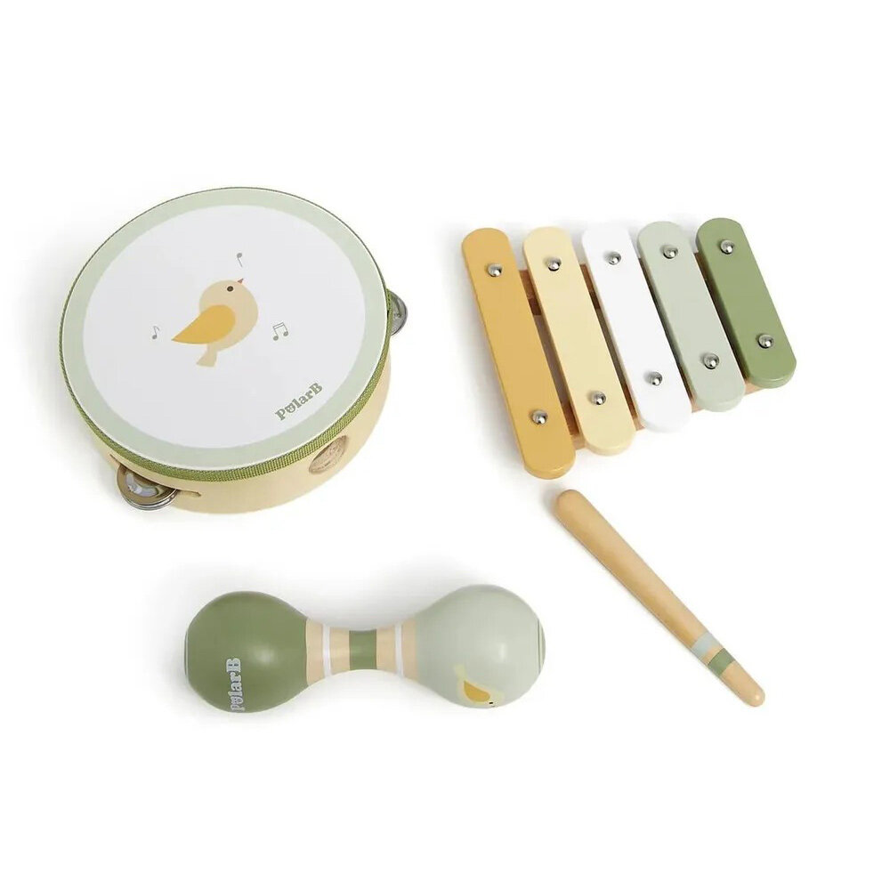 VIGA PolarB Набор Музыкант Птичка 3 предмета зеленый 44213 с 3 лет