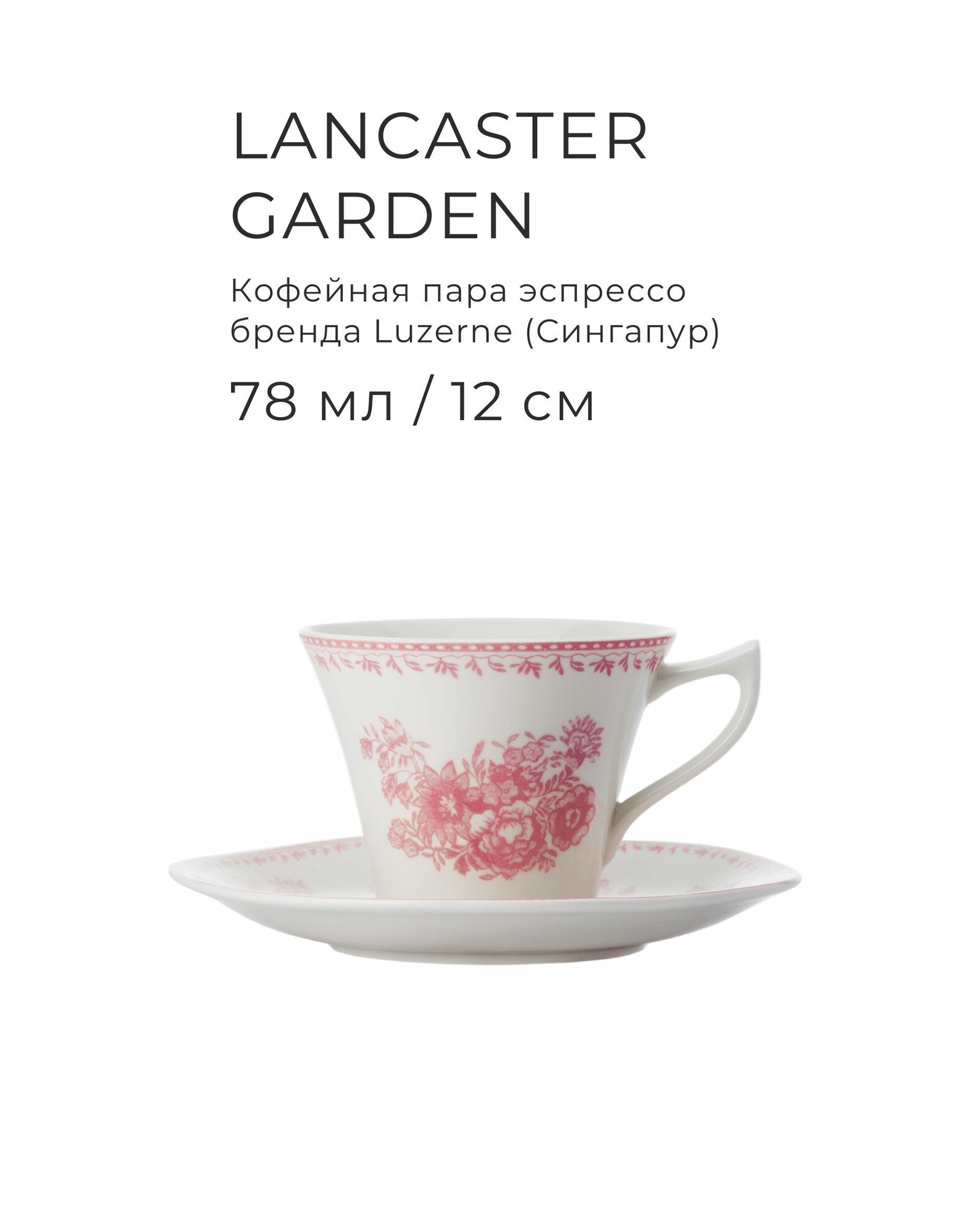 Кофейная пара для эспрессо 78 мл/12 см / фарфоровая чашка с блюдцем LUZERNE, серия Lancaster Garden