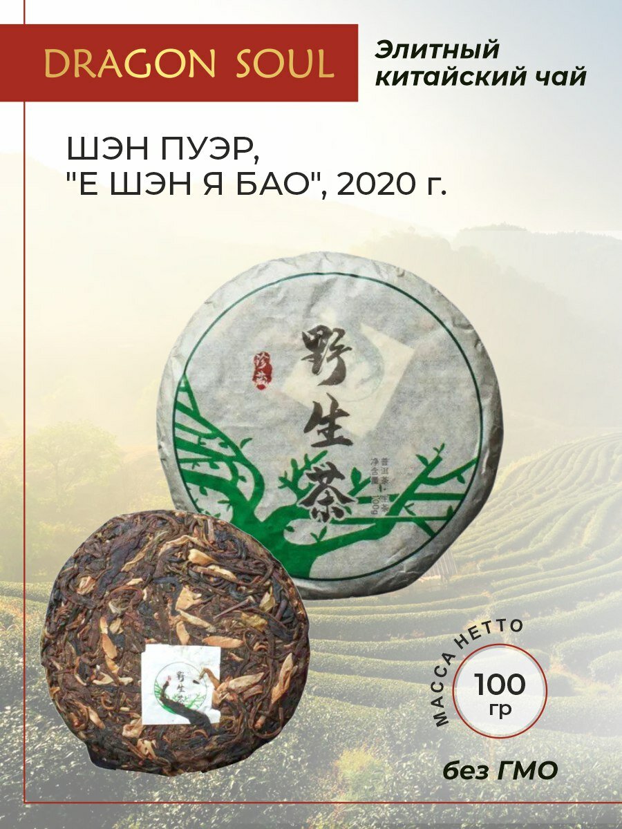 Китайский чай ШЭН пуэр "Е Шэн Я Бао", 2020 г, блинчик 100 г.