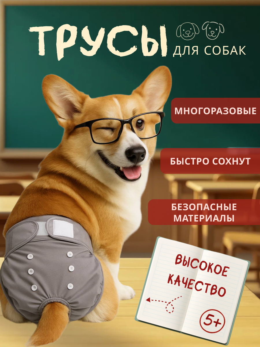Трусы для собаки во время течки многоразовые S, подгузники для собак миниатюрных пород впитывающие