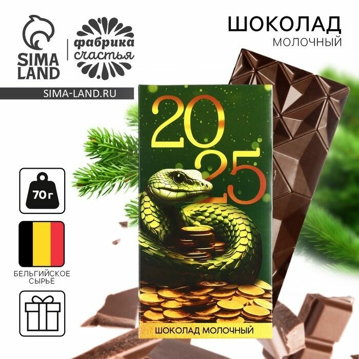 Новый год! Шоколад молочный Счастливого года , 70 г