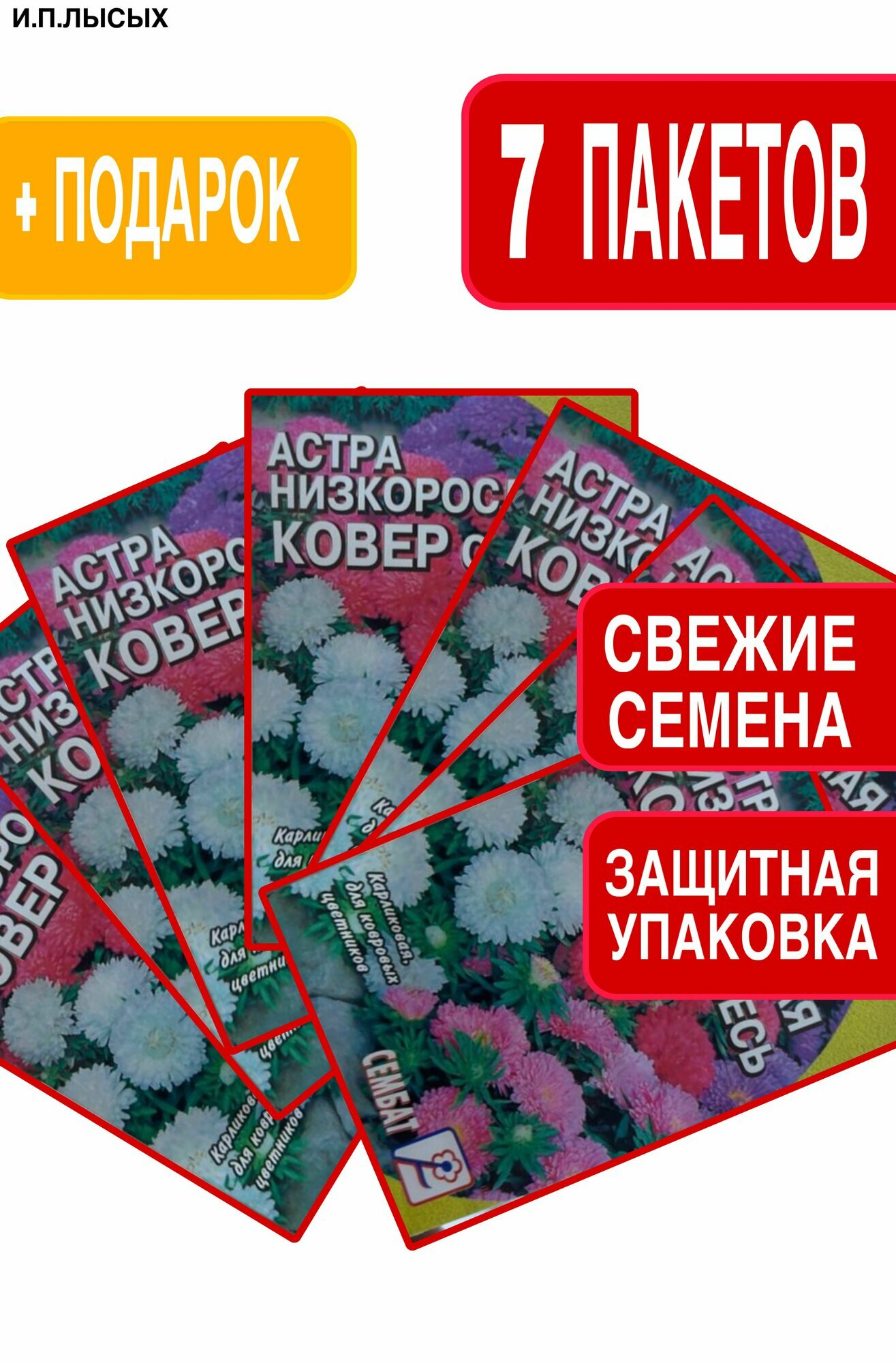 Семена Астра "Низкорослая"