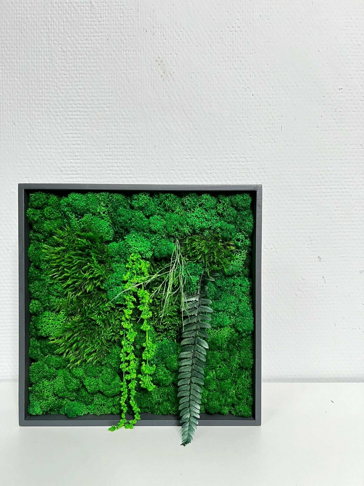 Рамка со мхом и растениями 25 см MyMossLife, стабилизированный мох, панно с мохом, картина