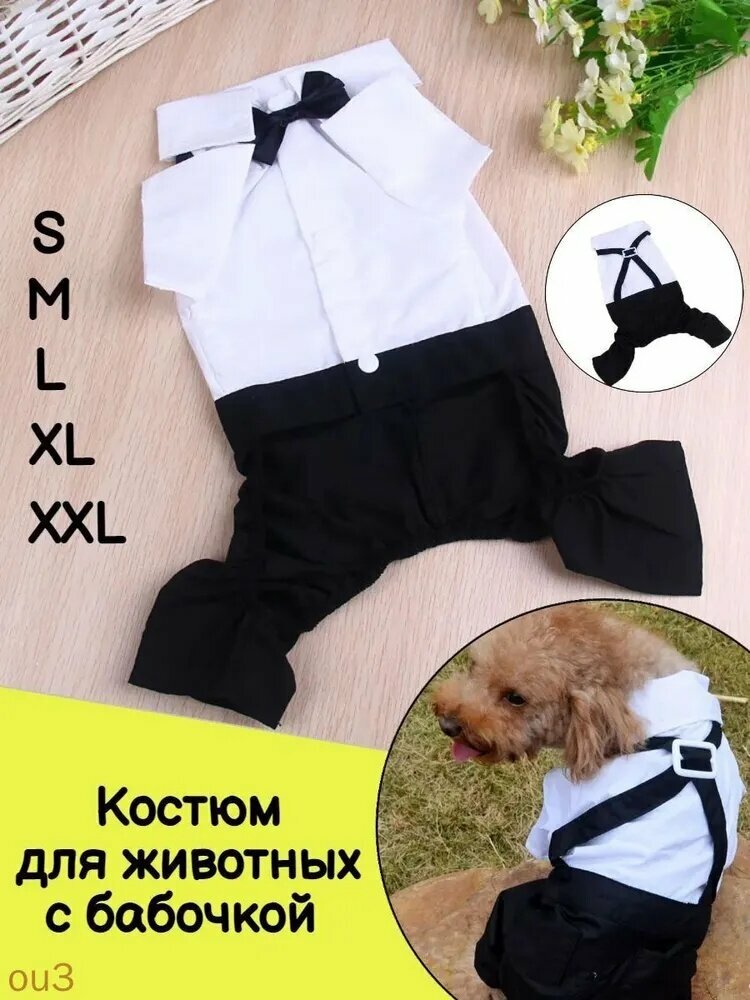 Костюм с бабочкой для котов и собак на праздник / Фрак для животных / Костюм для фотосессий