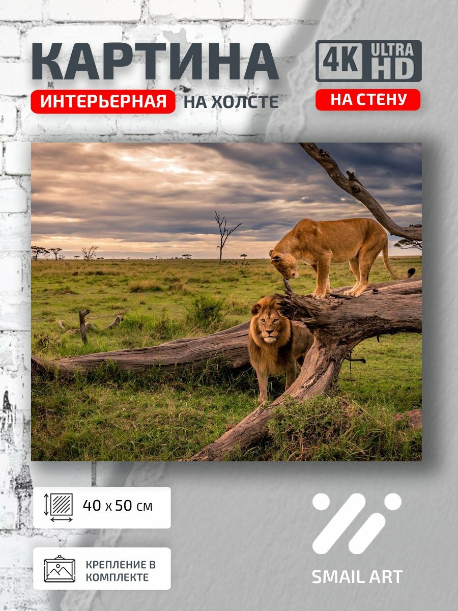 Картина на холсте интерьерная 40 на 50 на стену Бревно Animal для кафе animal style декор
