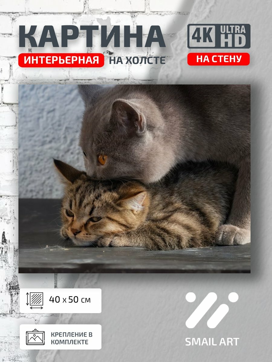 Картина на холсте интерьерная 40 на 50 на стену Воспитание Animal для спальни animal style