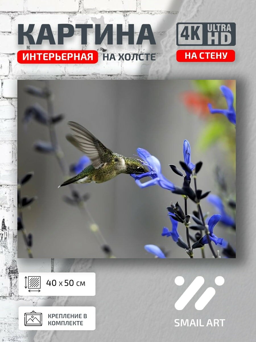 Картина на холсте интерьерная 40 на 50 на стену синего цветка для гостиной атмосфера