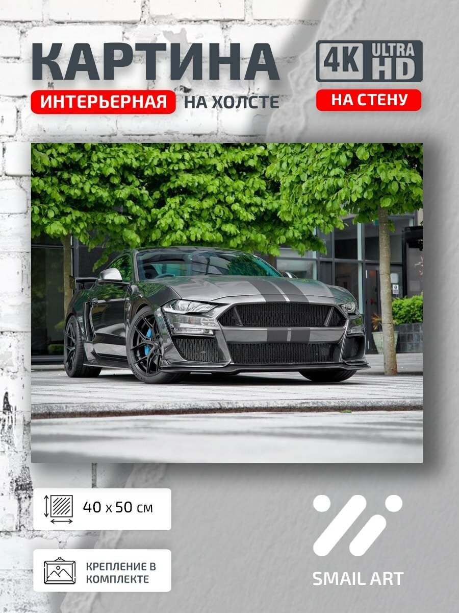 Картина на холсте интерьерная 40 на 50 на стену CS850GT 2021 для студии атмосфера