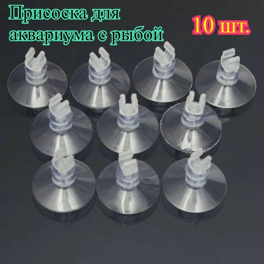 Присоски для аквариума, 10 шт