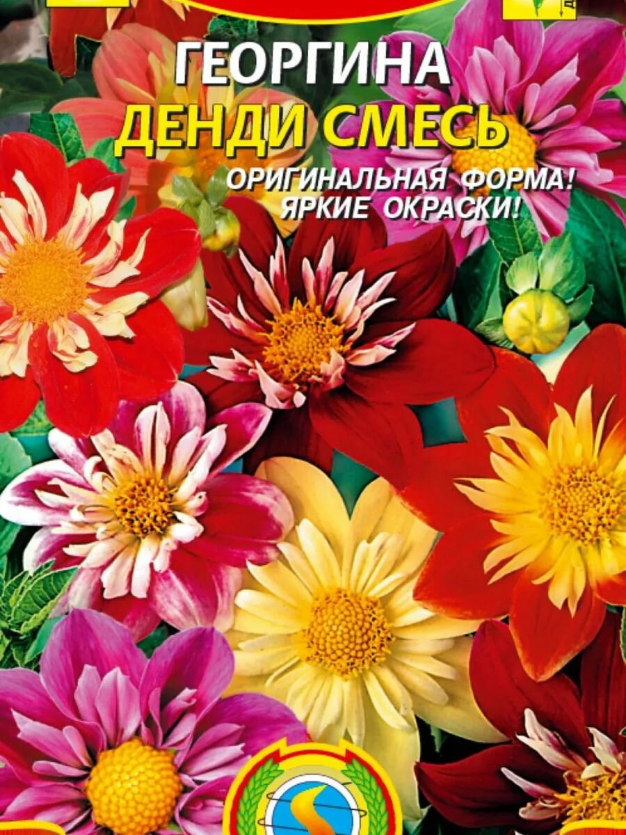 Георгина Денди 13 шт, Плазменные семена